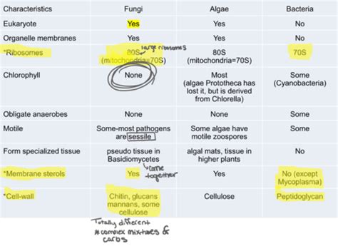 Fungus Introduction Flashcards Quizlet Fungus Introduction Flashcards Quizlet