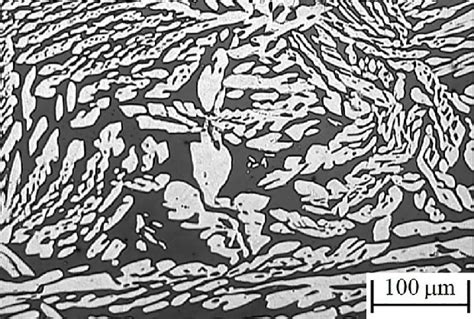 Microstructure Of The Cast Dss Solution Treated Austenite Is Light And