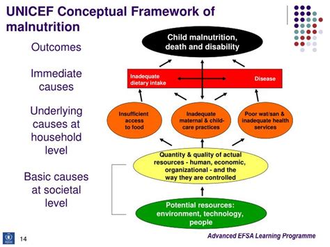 Ppt Session 1 2 Wfp Conceptual Framework Food And Nutrition Security Powerpoint Presentation