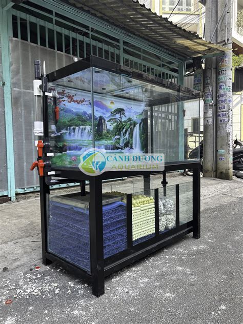 Overflow Tách Phân Hồ Cá Hồ Cá Cảnh Dương