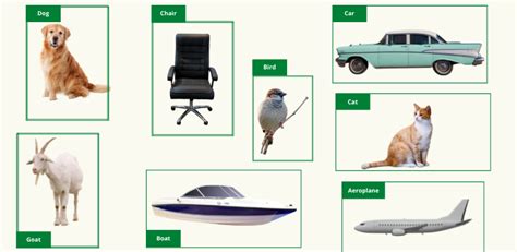 Anpr Using Nanodet An Anchor Free Object Detection Model