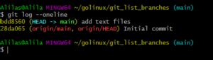 Different Ways To List Branches In GIT Local Remote GoLinuxCloud