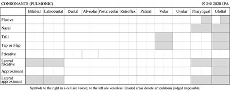 ipa characters diagram quizlet