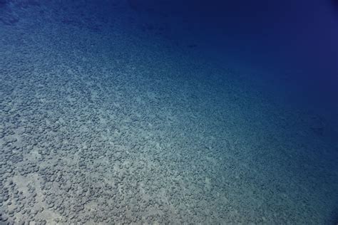 China Minmetals Corporation Launches Stakeholder Consultation On Environmental Impact Statement