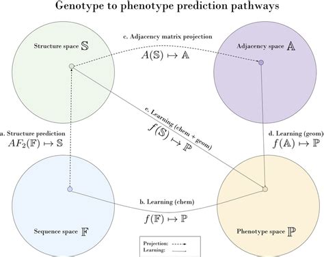 Sketch Of Protein Representations And Their Projections Sequence Space Download Scientific