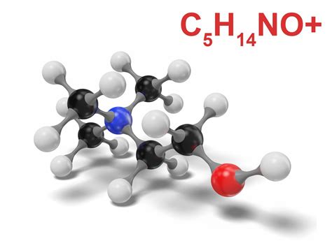 3d Model Choline Molecule C5h14no Modeled Turbosquid 1544165