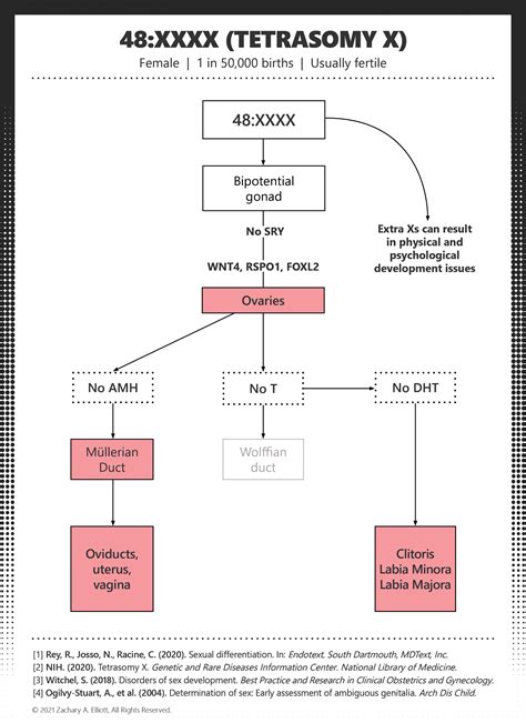 Sex Development Charts — Paradox Institute Sex Development Charts — Paradox Institute