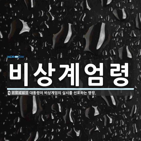 비상계엄령 뜻 대통령이 비상계엄의 실시를 선포하는 명령