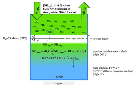 Illustration Of The Proposed Magnetite Fe3o4 Nanoparticles Mnp Download Scientific Diagram