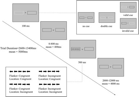Procedure Of The Attentional Network Task Revised Schematic Overview Download Scientific