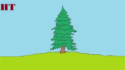 How To Draw A Pine Tree Step By Step YouTube