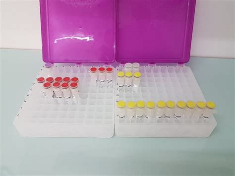 phage lambda dna geneon bioscience