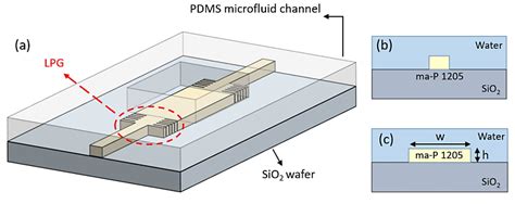 A Schematic Of Trimodal Interferometer B Input Single Waveguide
