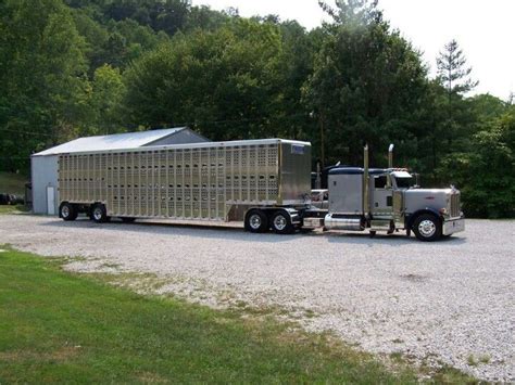 Peterbilt Cattle Hauler Cattle Trailers Big Trucks Peterbilt Trucks