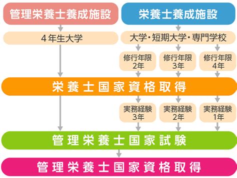 管理栄養士とは？仕事内容から受験資格、就職先を解説