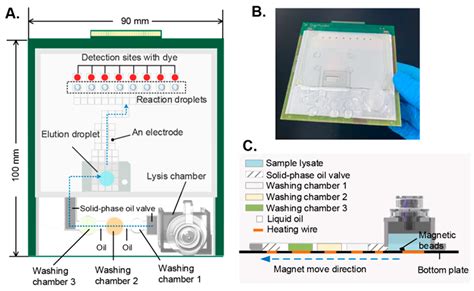 Biosensors Free Full Text An All In One Platform For On Site Multiplex Foodborne Pathogen