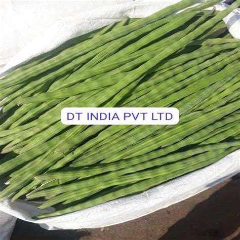 Drumstick Vegetable Wholesale Price And Mandi Rate For Veg Drumstick