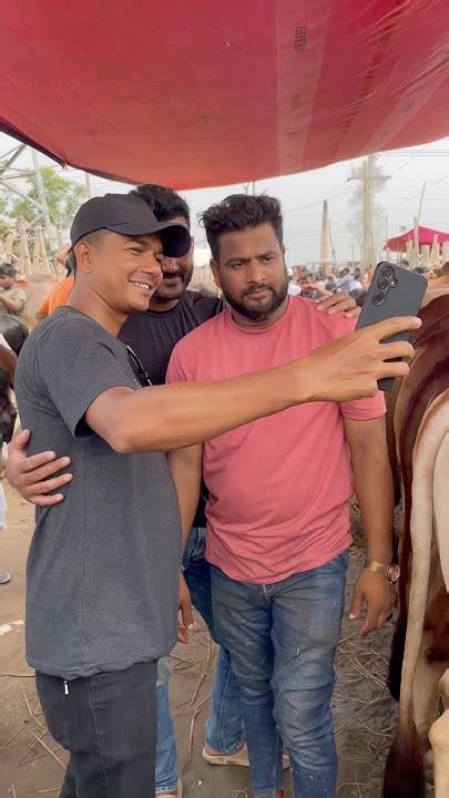 ব্রাহ্মণবাড়িয়া জেলার বিখ্যাত কুটি চৌমুহনী গরুর হাট ভাইরাল গরু বেপারির সাথে মানুষ যখন ছবি তোলে