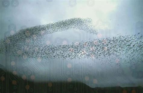 蜂群时代：无人蜂群的四项关键特性！ 无人机