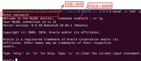 系统编程 数据库 csdn博客