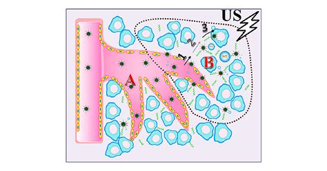Ultrasound Triggered Nitric Oxide Release Platform Based On Energy Transformation For Targeted
