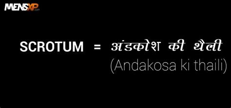 Sex Related Terms English To Hindi Translations
