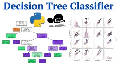 Build An Ai Flower Classifier In Python Decision Trees Explained Youtube