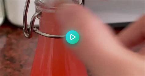 So I Started Brewing Jun Like Kombucha But With Honey And Green Tea