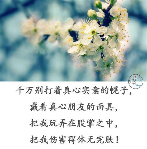 别拿别人当傻子的图片 不要把别人当子图片 子图片带字 第9页 大山谷图库