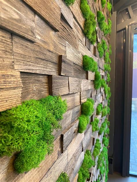 Деревянные 3д панели со стабилизированным мхом Modern House Exterior