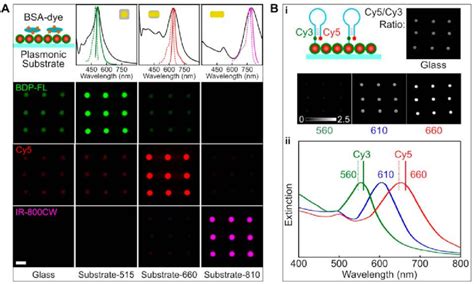 Self Assembled Plasmonic Substrates For Enhanced Fluorescence And Fret