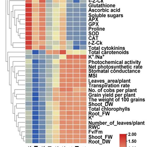 heatmap graph showing the relationships and the hierarchical clustering
