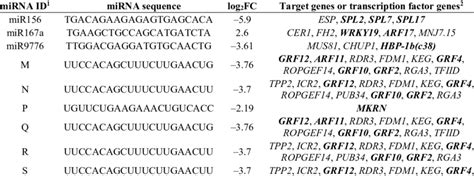 Some Key Mirnas And Their Targets Identified In The Integrative Download Scientific Diagram