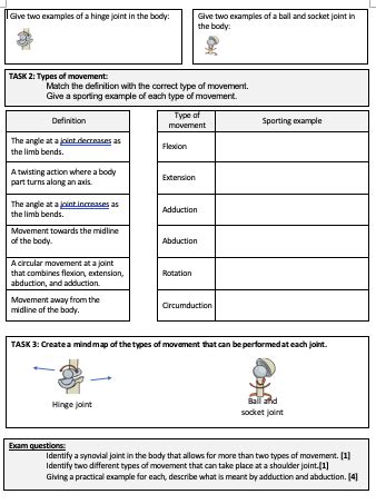 OCR GCSE Skeletal System Worksheet Teaching Resources