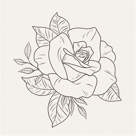 Rose Flower Outline Images