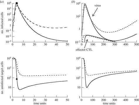 Time Series Simulations Comparing The Dynamics For Shorter Dashed