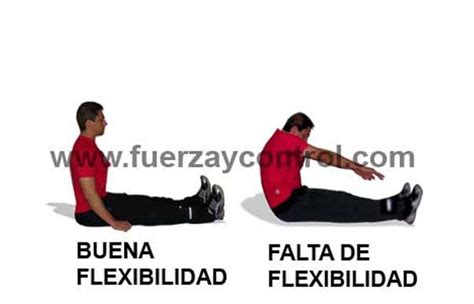 El Acortamiento De Isquiotibiales Estando Sentados