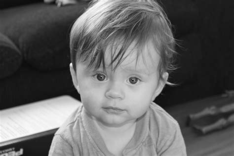 무료 이미지 아가 회색 어린이 얼굴 머리 검은 검정색과 흰색 헤어 스타일 유아 단색화 뺨 코 눈 턱 금발 스냅 사진 사진술 흑백 사진