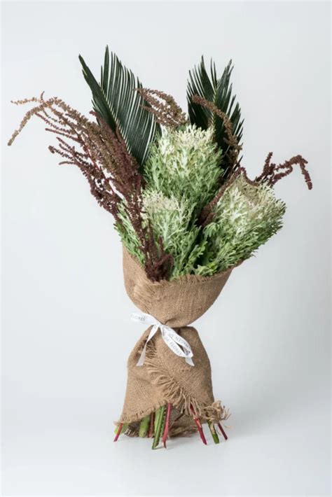 Repollos Ornamentales Almacén De Flores Córdoba