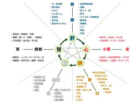 五色五味養生飲食 黃帝內經的五色五味養生飲食概念是以不同顏色及味道的食物對應不同臟腑以達到防病及滋潤不同器官的功效配合時節更有