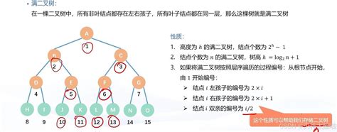 二叉树(数据结构) Csdn博客 二叉树(数据结构) Csdn博客