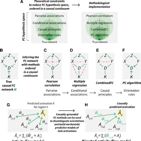Causally Grounded Functional Connectivity Methods Can Be Used To Build Download Scientific