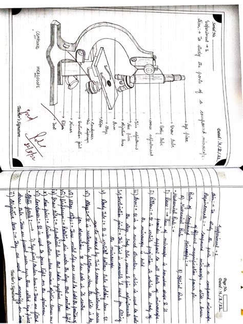 practical file 1 pdf