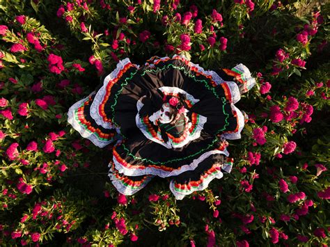 꽃 꽃 배경 디아 데 로스 미아 테스 라틴 아메리카 문화 멕시코 멕시코 문화 멕시코 유산 멕시코 전통 멕시코 축제 문화 유산 문화 의상 문화 축하 민속