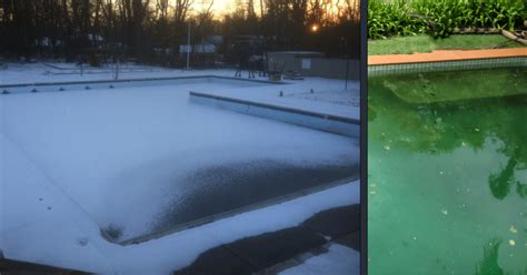 Tips To Prevent Pool Algae During Winter True Blue Pools