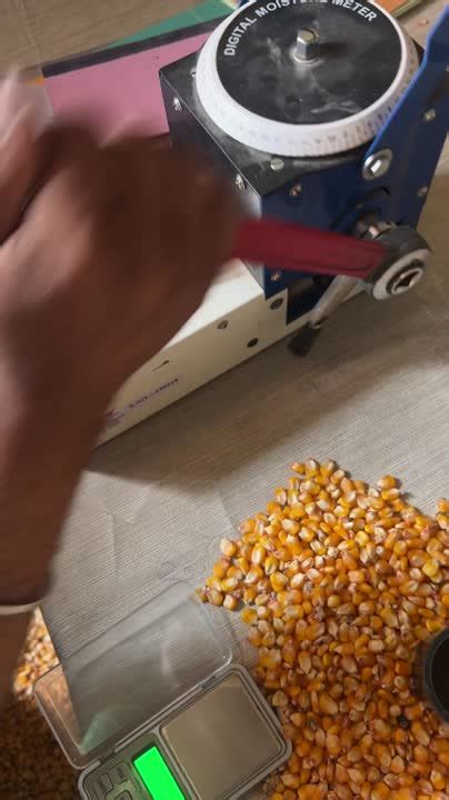 Rajan Jaiswal On Linkedin This Is Quality Measurement Of Maize