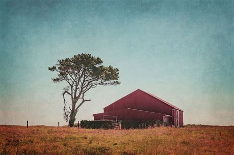 Adding Textures To Photos Using Blend Modes A Step By Step Guide