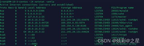 应急响应 linux 应急响应命令总结 linux应急响应 csdn博客
