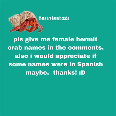 Pls Give Me Female Hermt Crab Names Thanks Rhermitcrabs