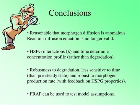 Ppt Morphogen Gradient Formation Through Interactions With Hspg An Anomalous Diffusion Model